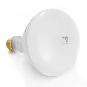 Long Life and Long Lasting Incandescent and LED Light Bulbs - Conserv-A ...