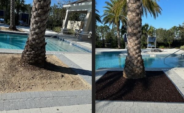 Recycled Rubber Mulch Uses